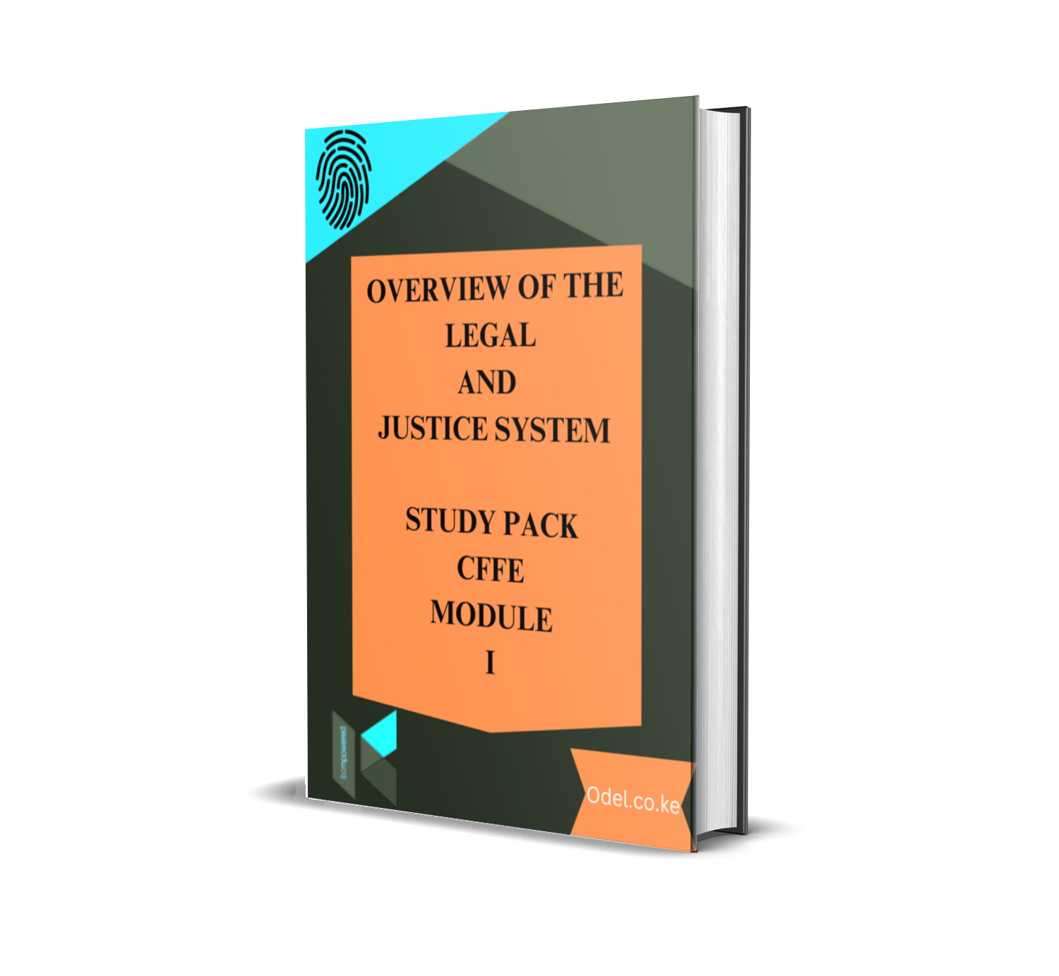Overview of The Legal and Justice System Notes – ODeL.co.ke
